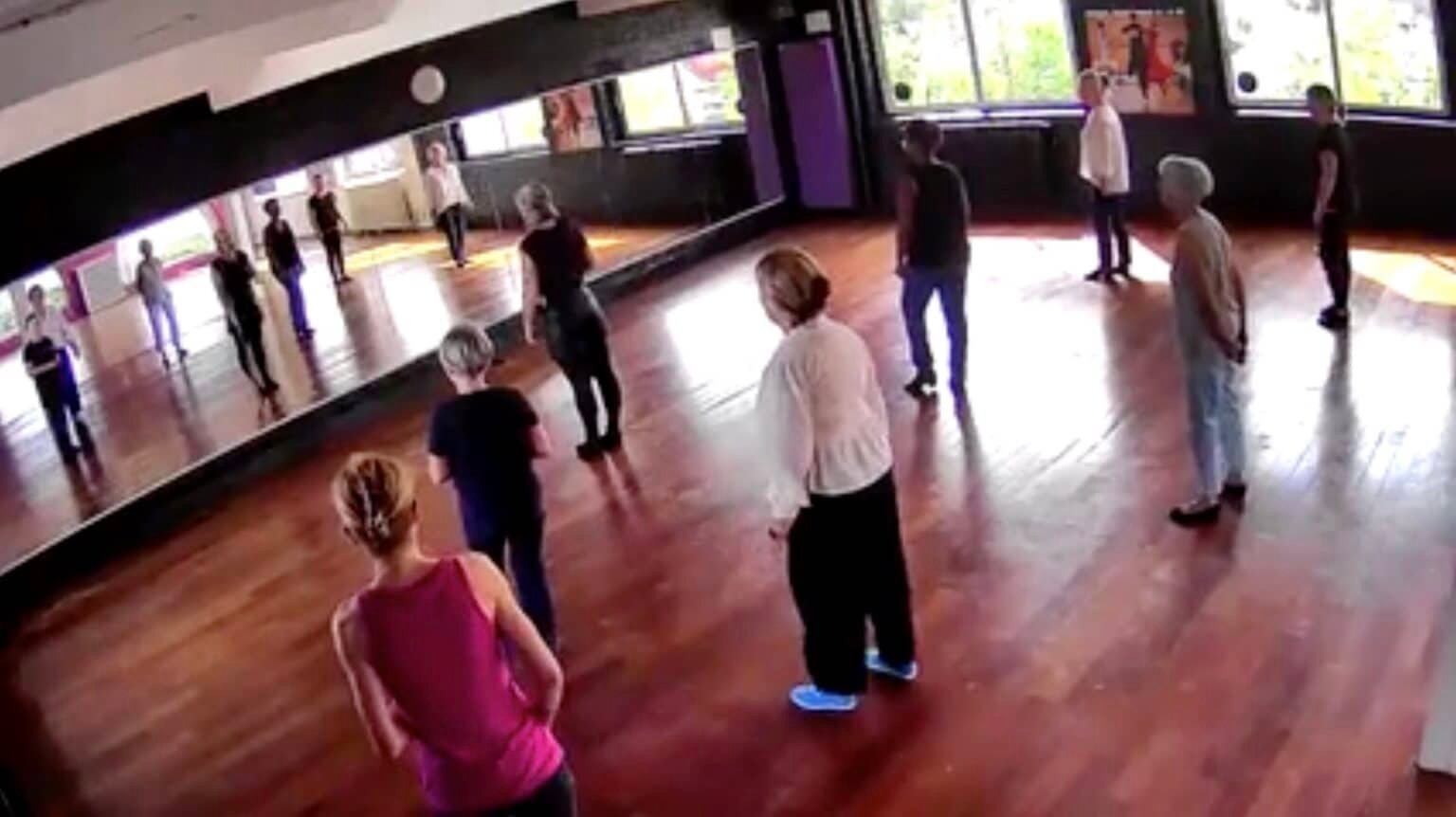 Apprendre les Danses en ligne - Cours de danse en vidéo